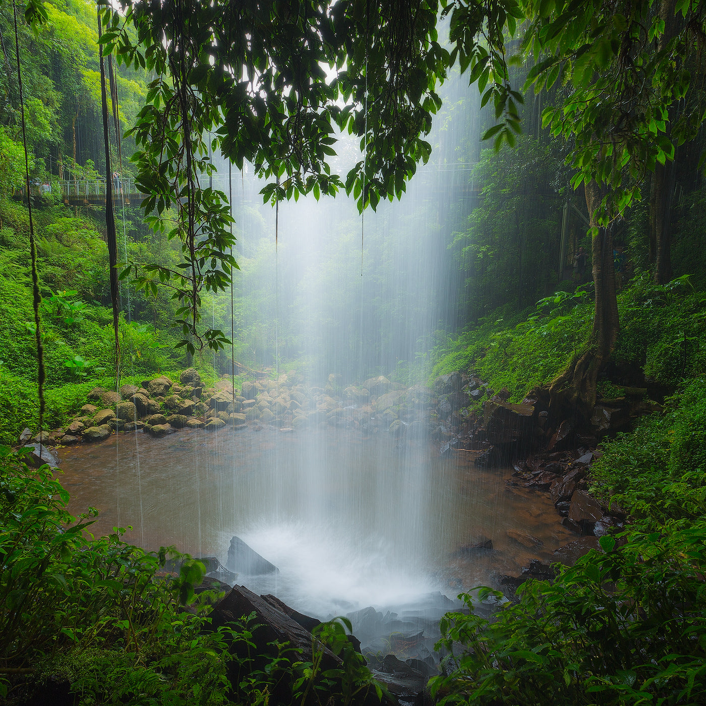 Daniel Tran Photography is proud to be 100% carbon offset