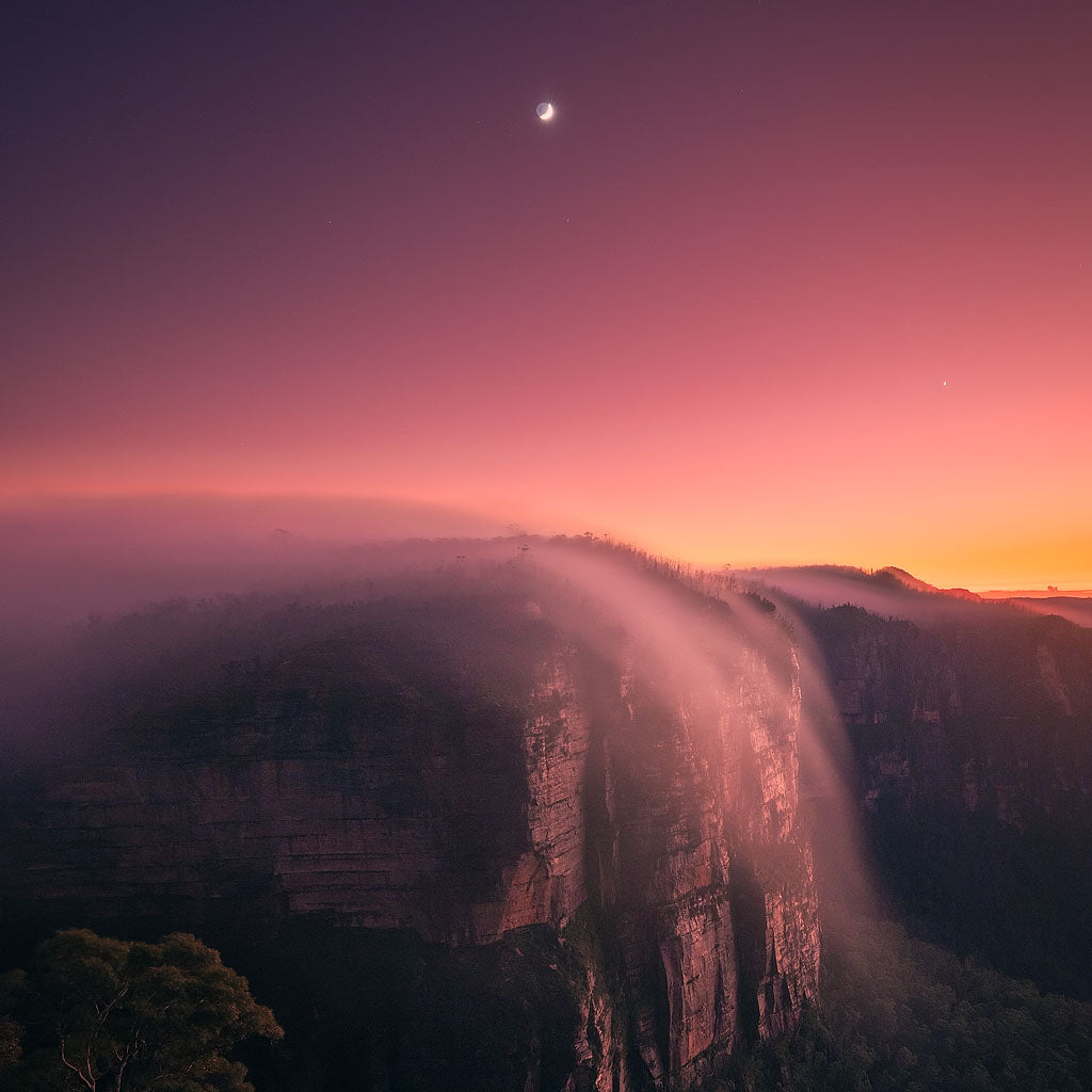 Nature – Daniel Tran Photography